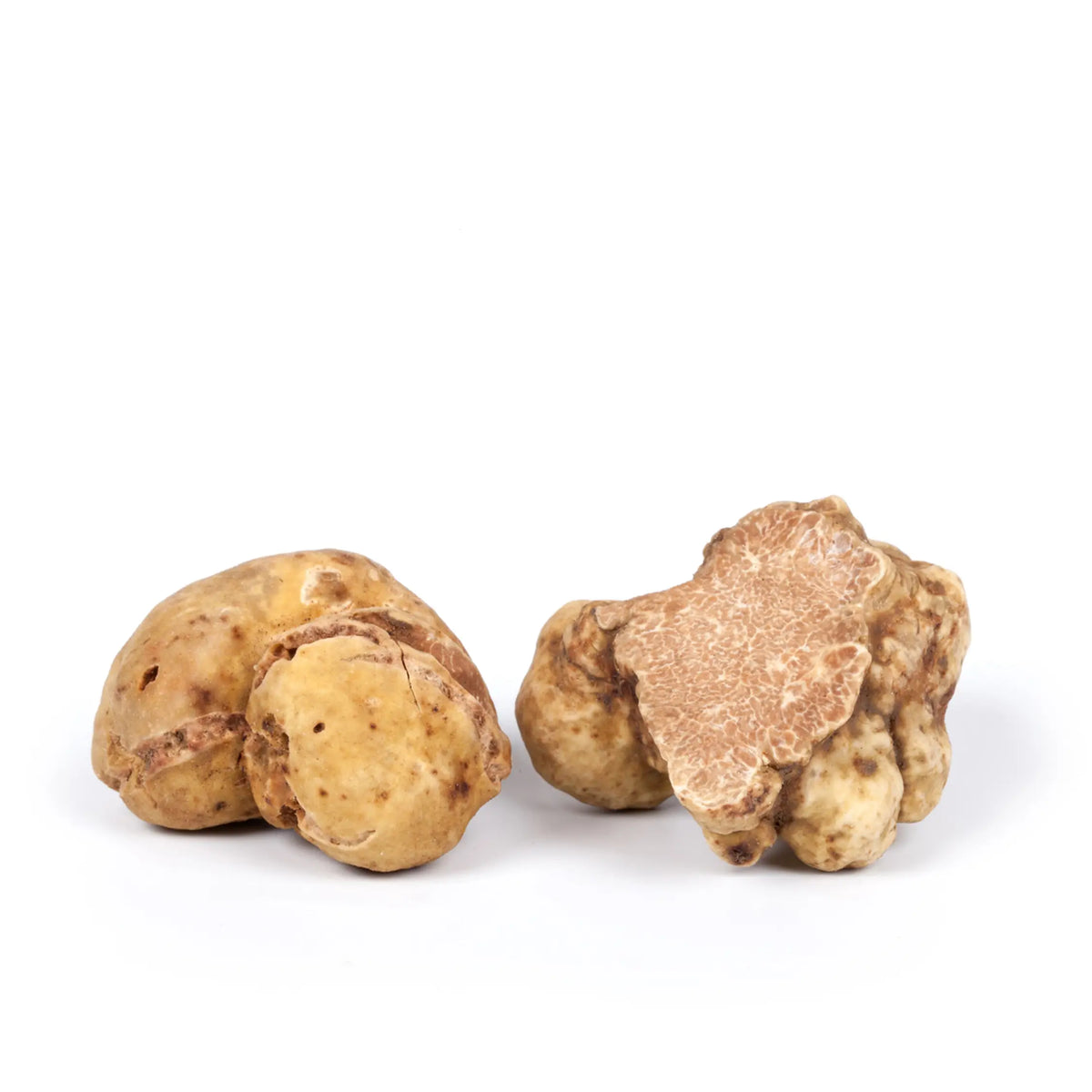 White Truffle – Tuber Magnatum Pico - Tartufi Istra — JUG deli